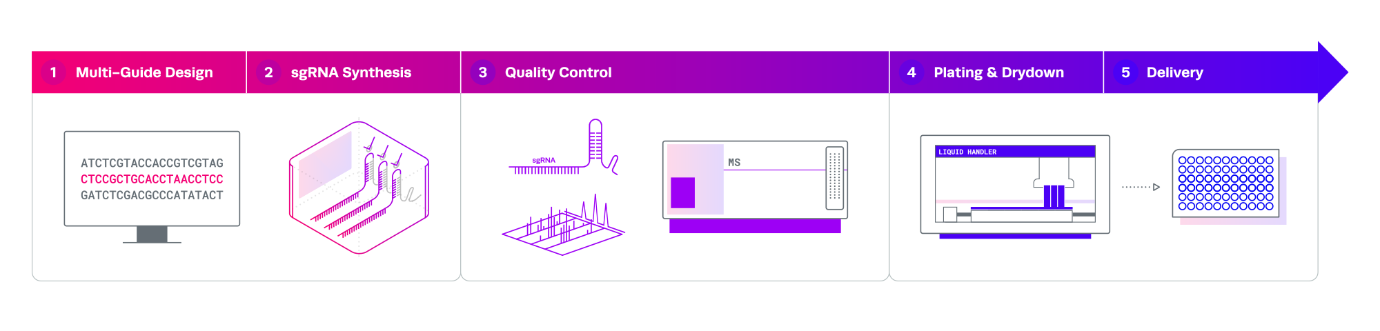 Arrayed CRISPR gRNA Libraries | EditCo